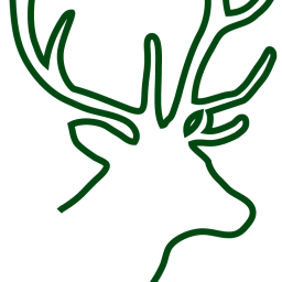 New Forest | South Central Hockey